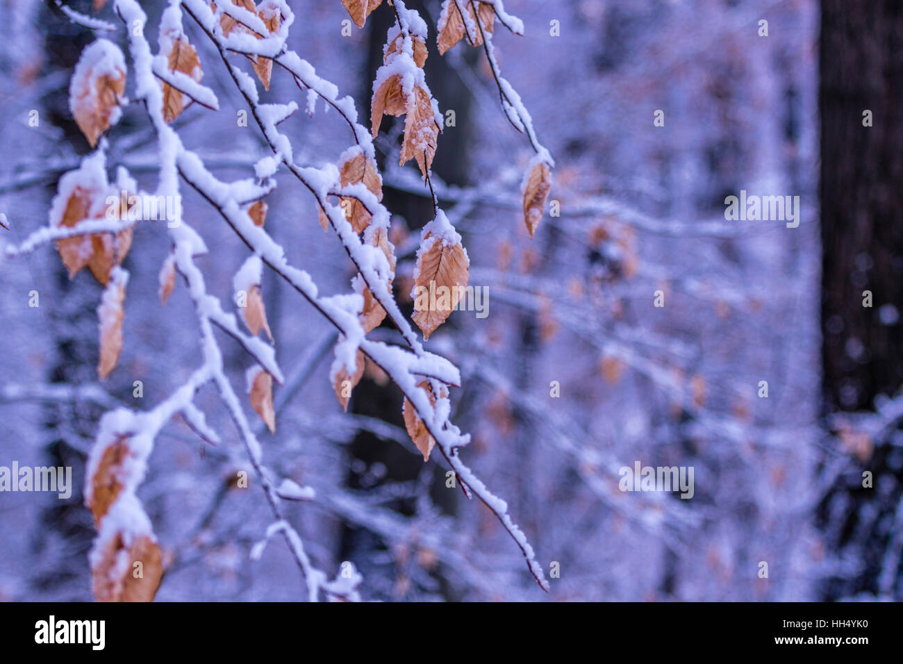 Hiking path details hi-res stock photography and images - Alamy
