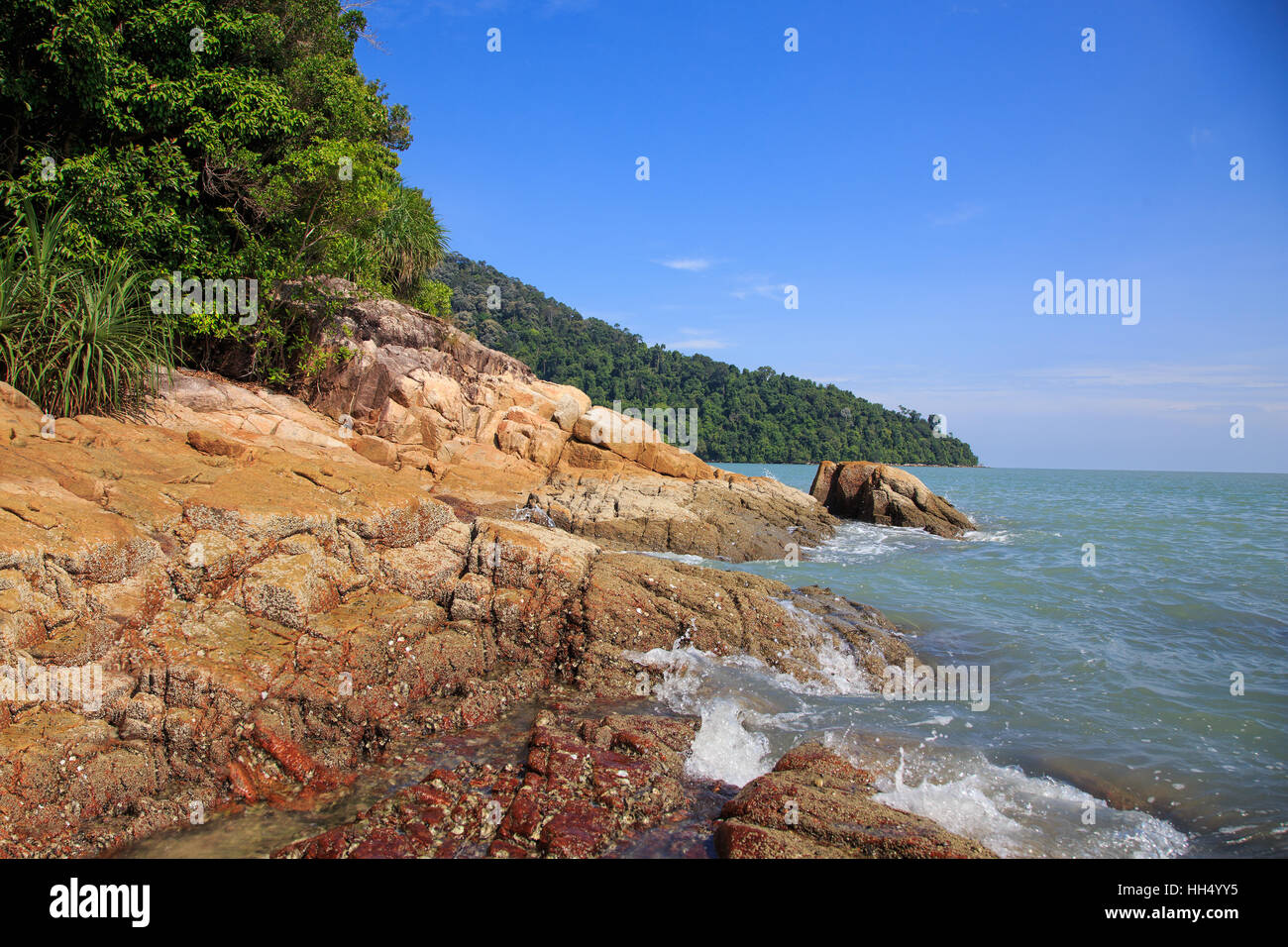 Penang national Park Stock Photo - Alamy