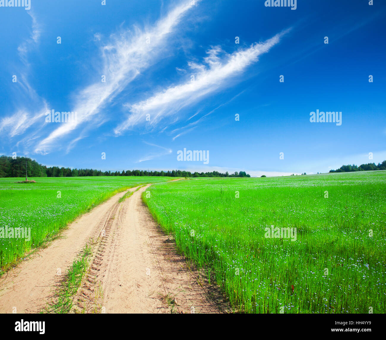 beautiful field and road Stock Photo - Alamy
