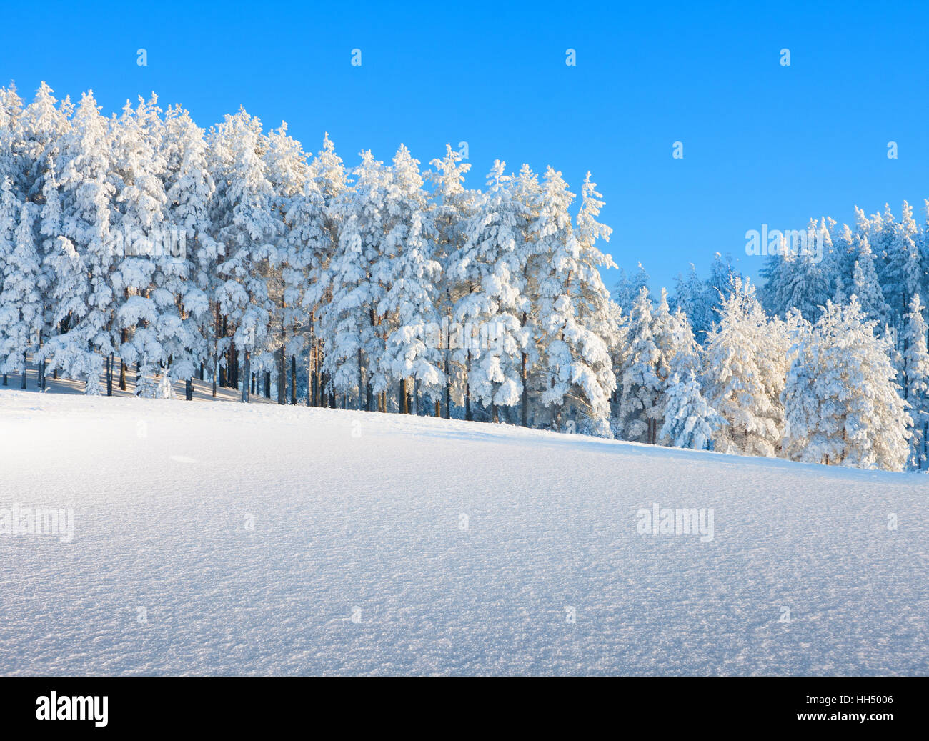 Winter park in snow Stock Photo - Alamy