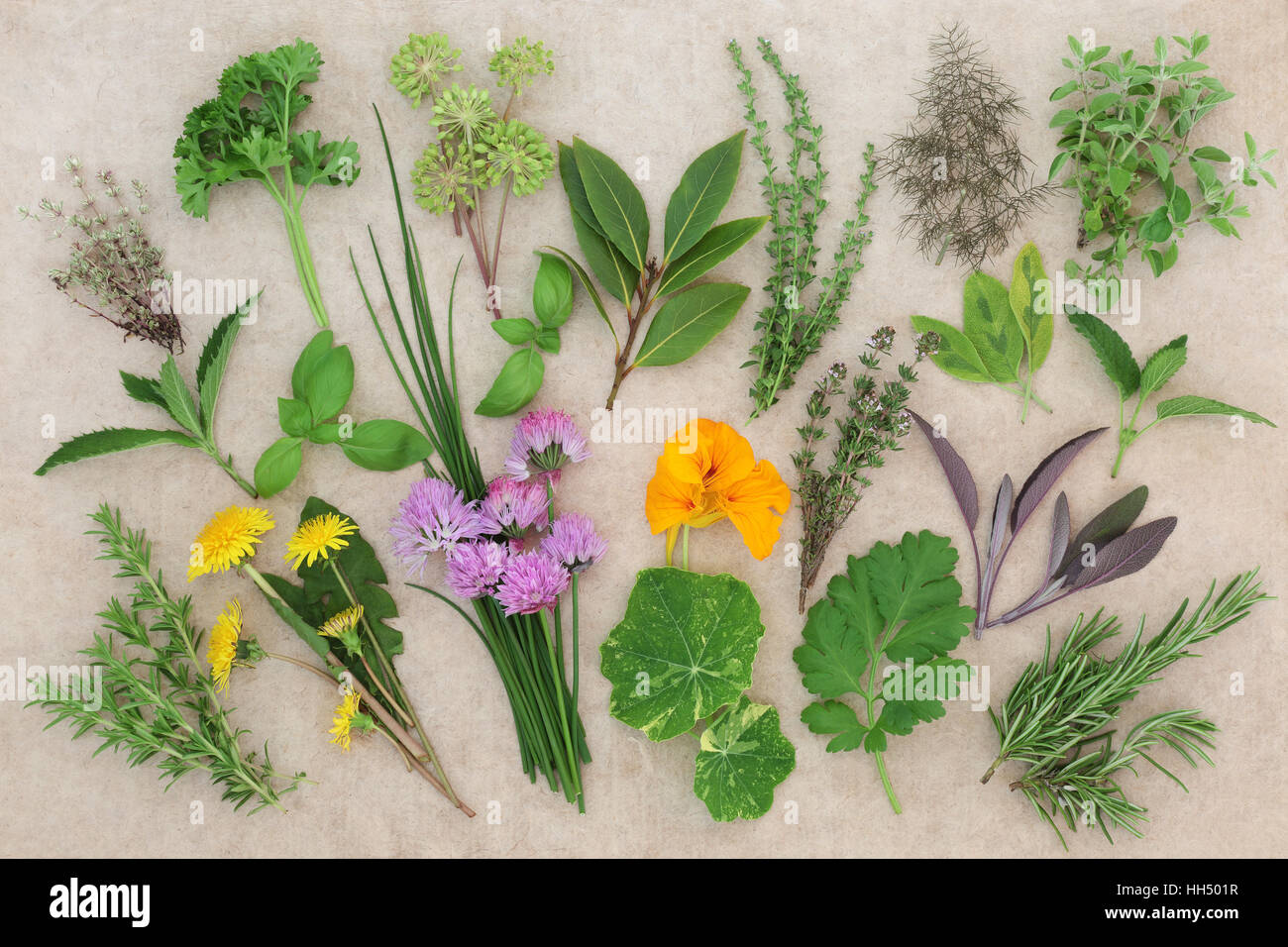 Fresh herb selection on hemp paper background Stock Photo - Alamy