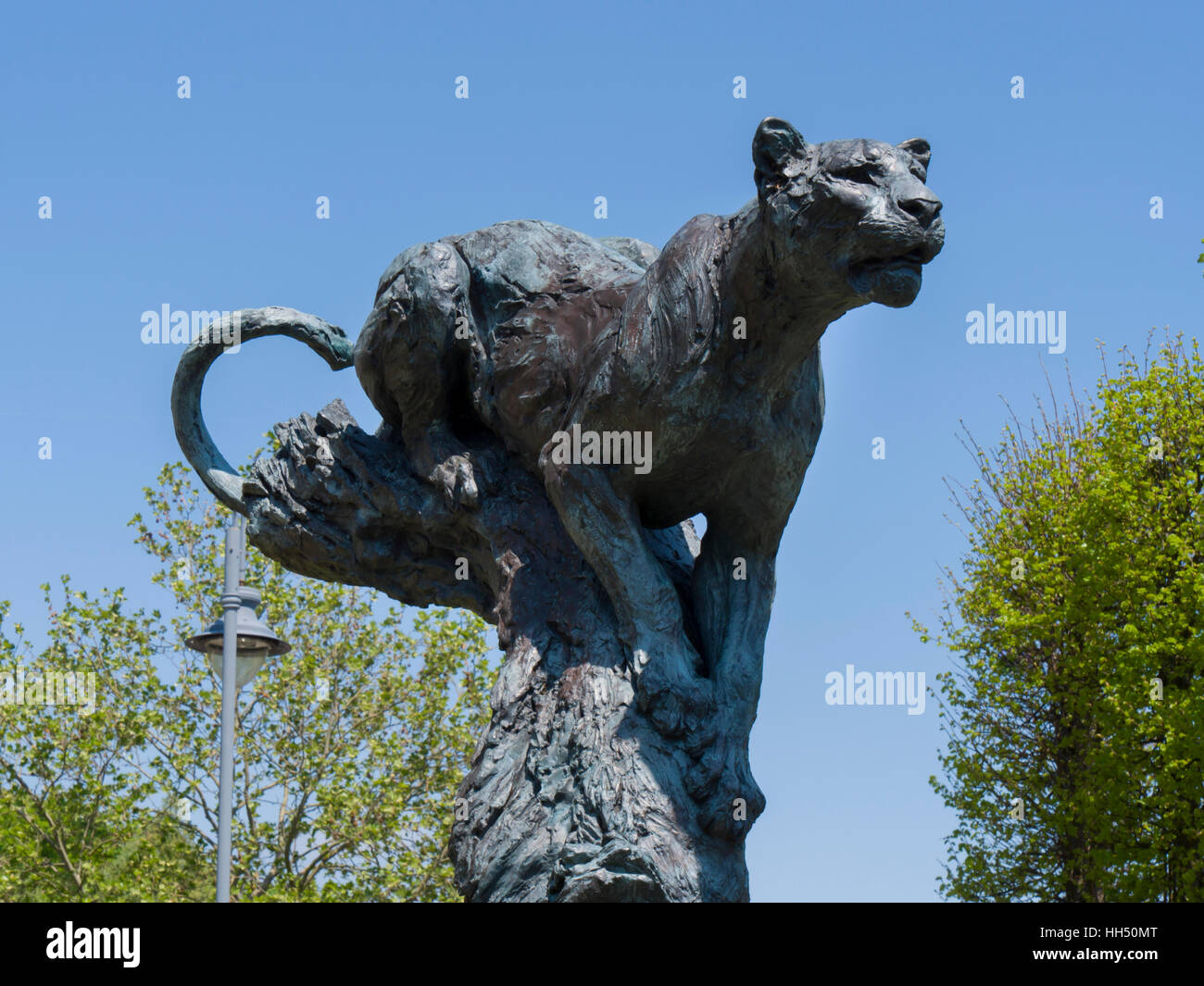 europe, UK, England, Surrey, Leatherhead leopard sculpture Stock Photo ...
