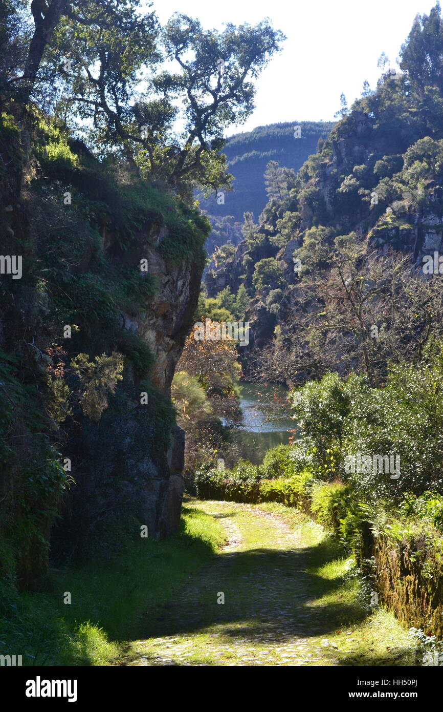 Pedrogao grande portugal hi-res stock photography and images - Alamy