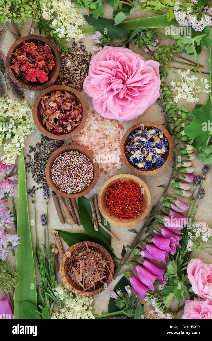 Alternative medicine selection used in natural healing with dried and ...