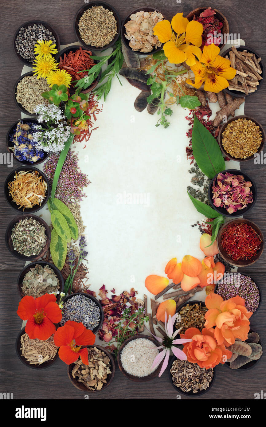 Herbal medicine selection of fresh and dried herbs and flowers forming ...