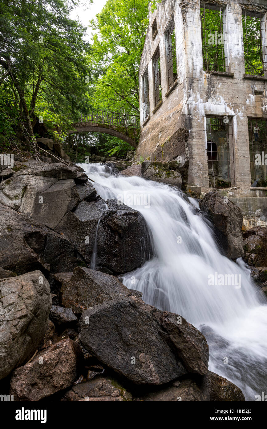 Stream water next forest hi-res stock photography and images - Alamy