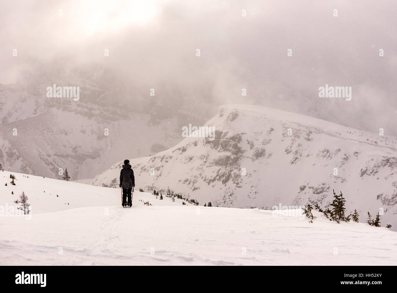 Powder skiing in ski hi-res stock photography and images - Alamy