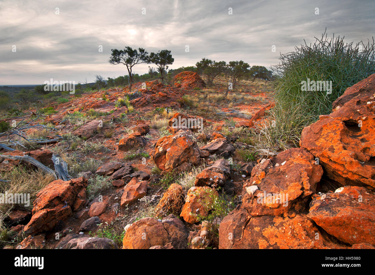 Western Range in Mutawintji National Park Stock Photo - Alamy