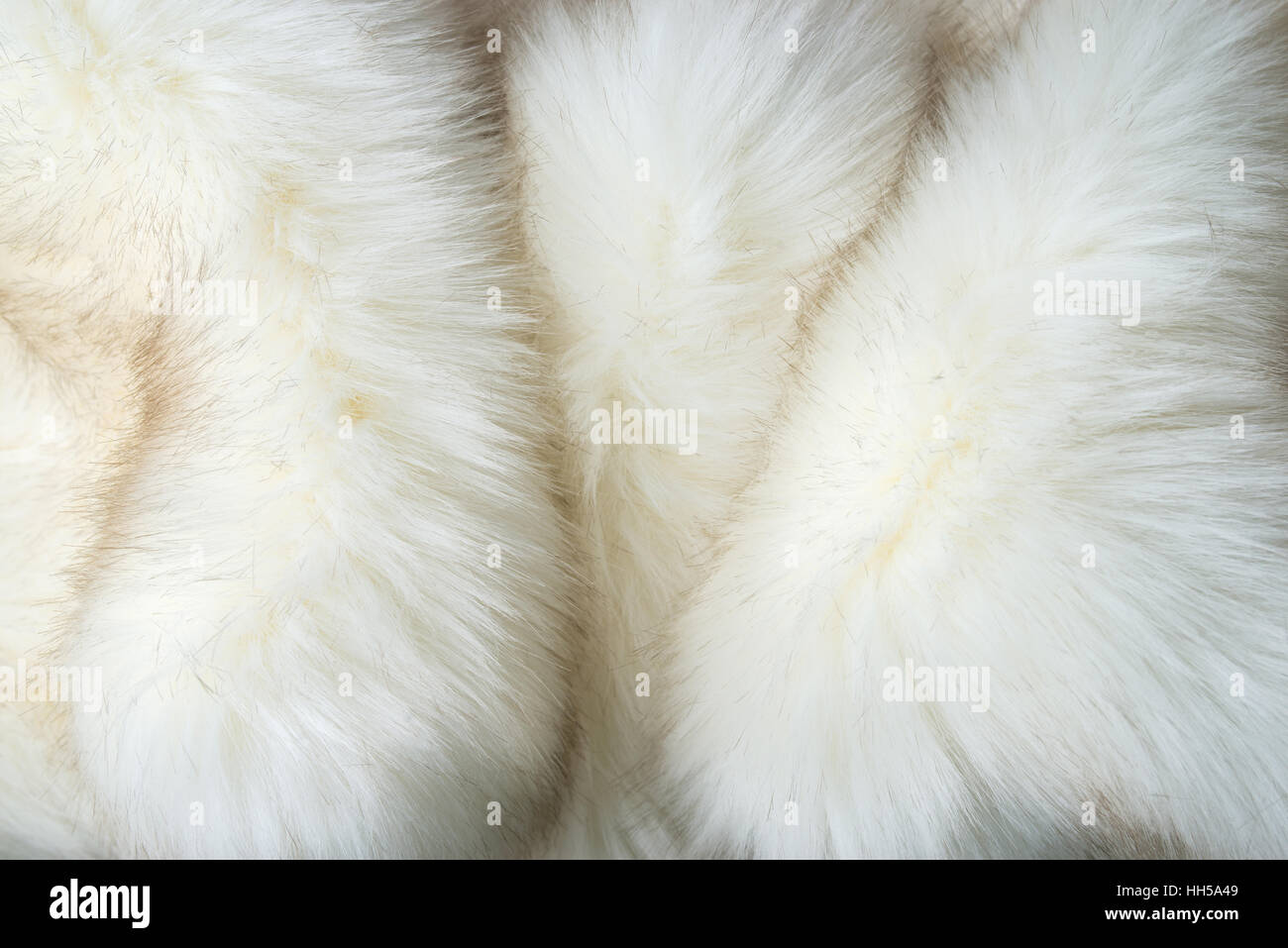 Animal fur texture hi-res stock photography and images - Alamy