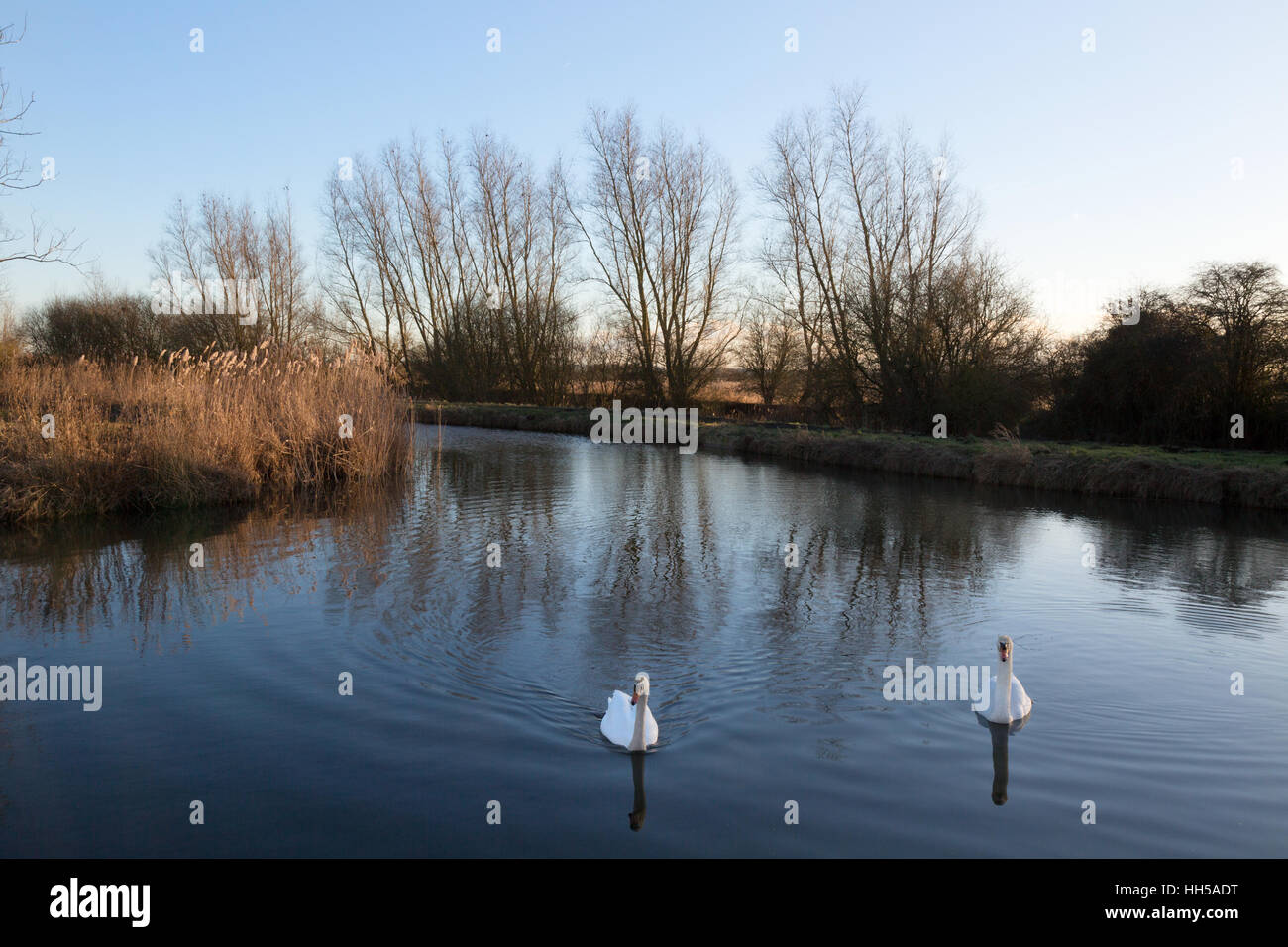 Cambridge fens hi-res stock photography and images - Alamy