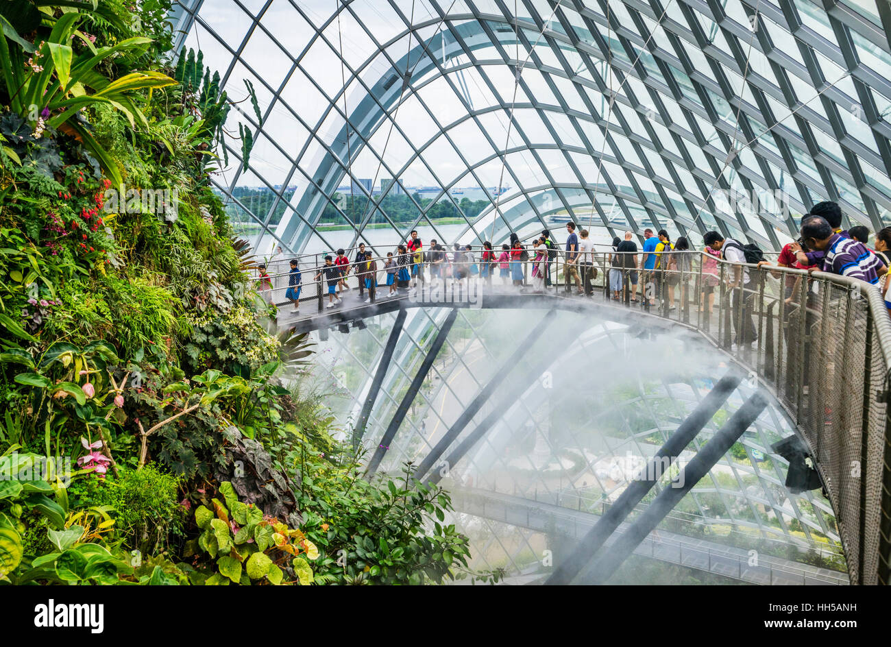 Singapore, Gardens by the Bay, Cloud Walk on top of the lush vegetation ...