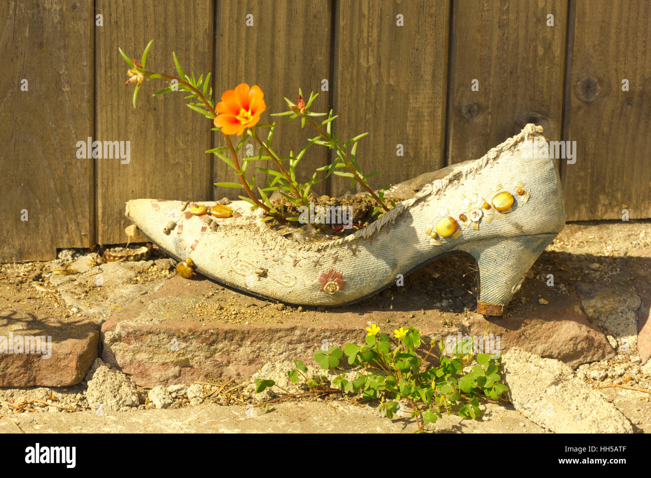 Shoe garden hi-res stock photography and images - Alamy