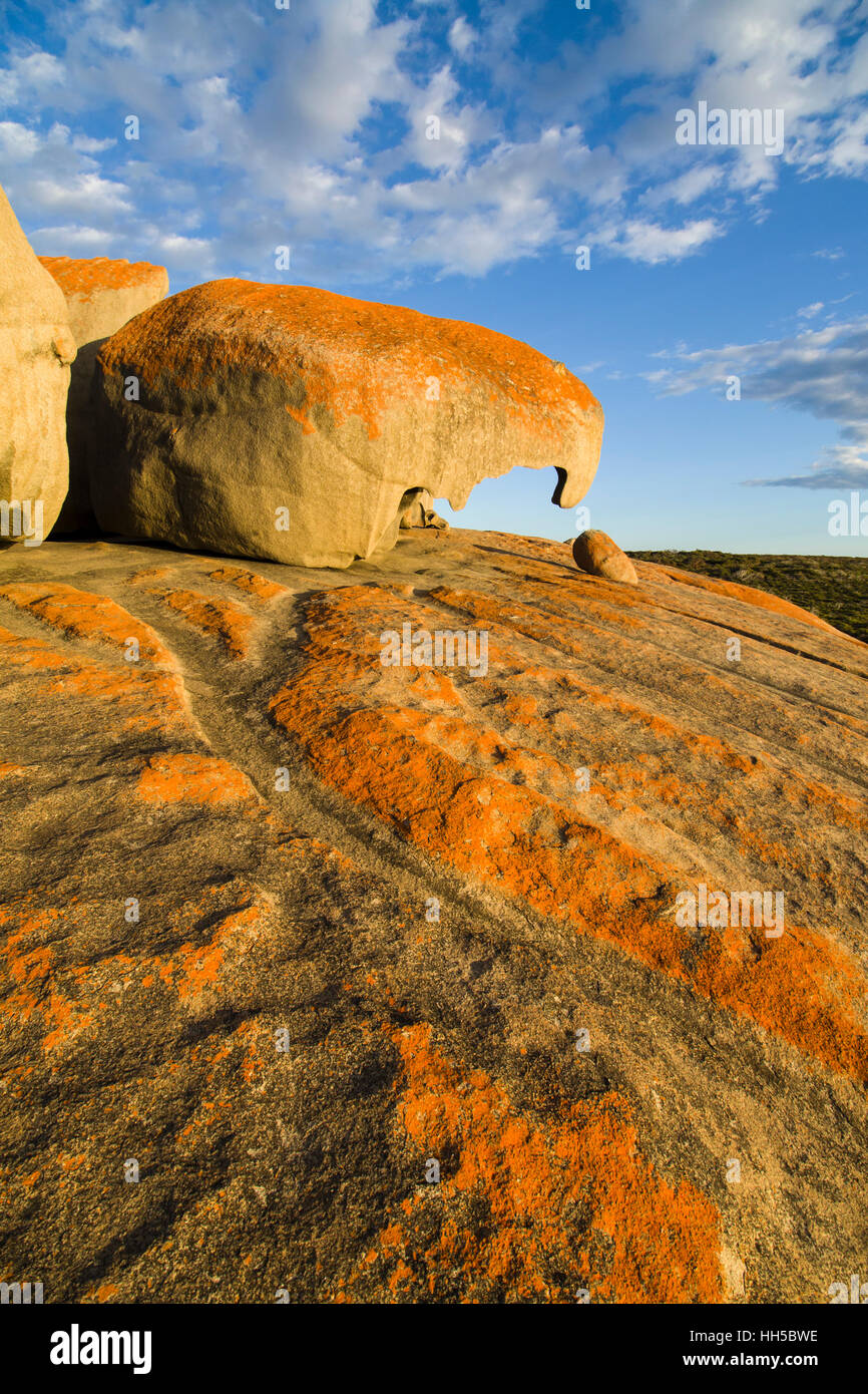 Remarkable Rocks - early morning Flinders Chase National Park Kangaroo ...