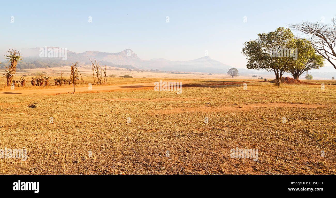 blur in swaziland mlilwane wildlife nature reserve mountain and tree ...