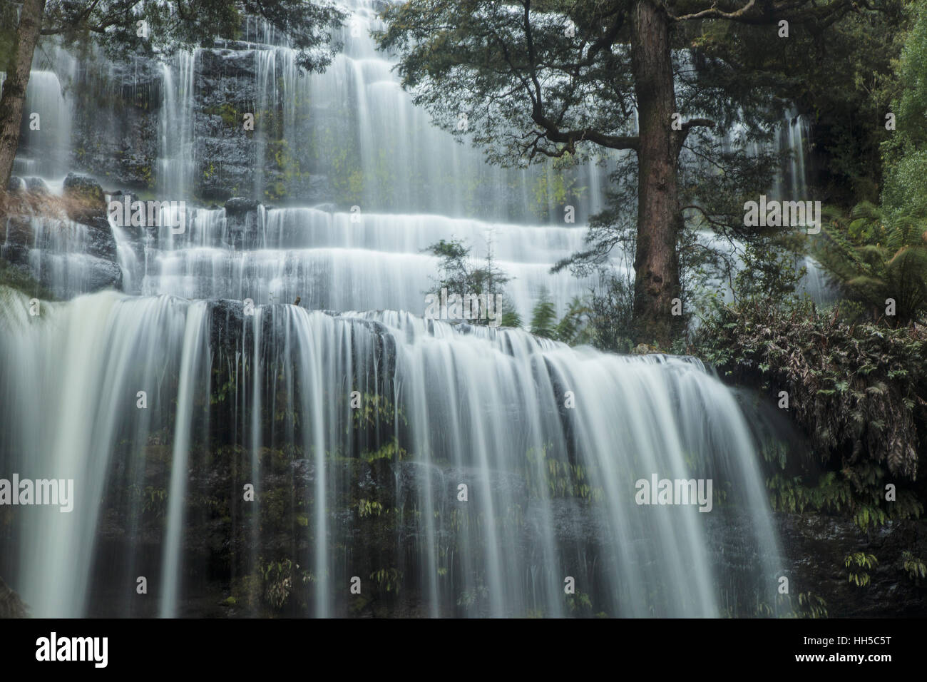 Russell Falls Mount Field National Park Tasmania Australia LA009312 ...