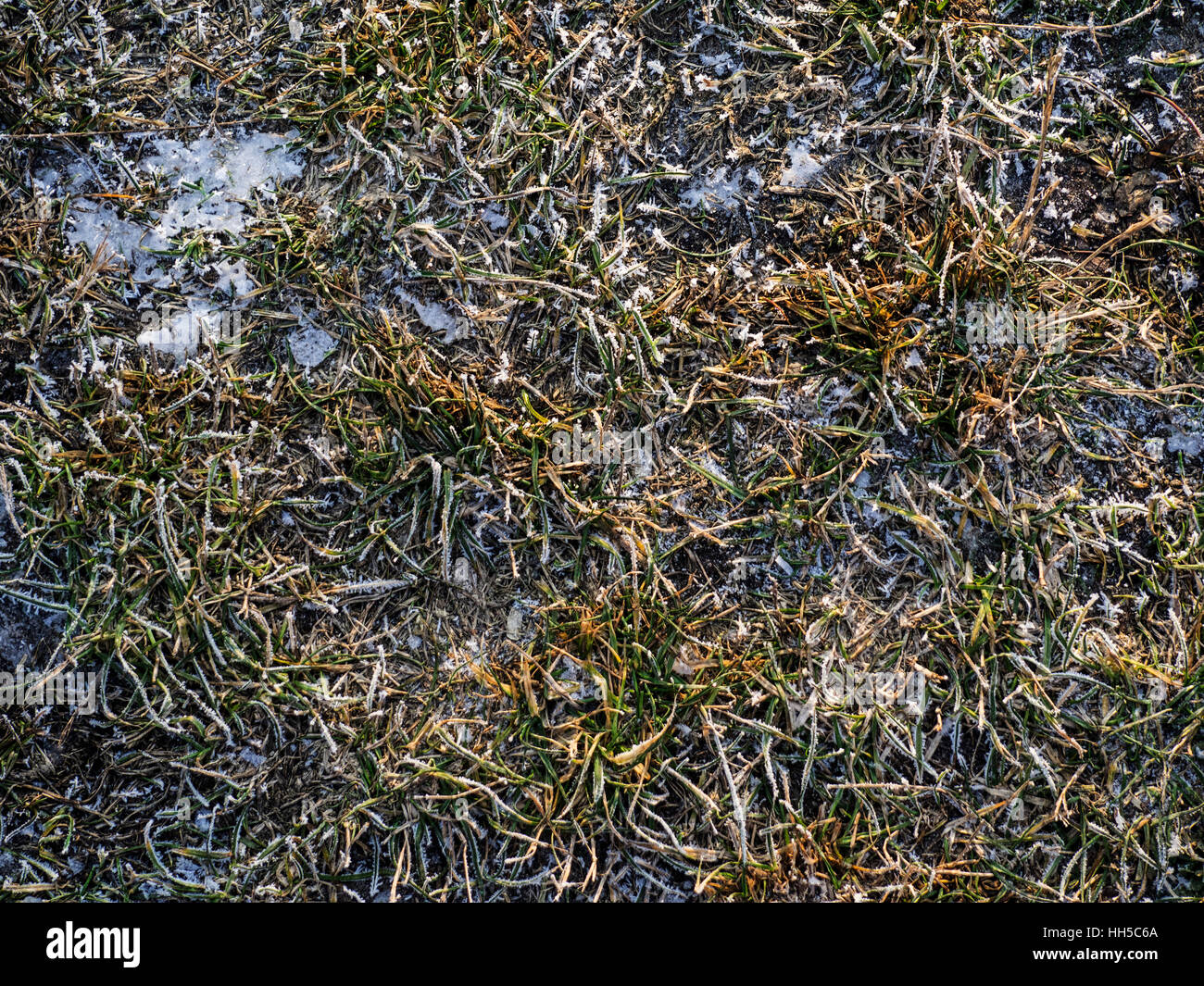 Covered up by grass hi-res stock photography and images - Alamy