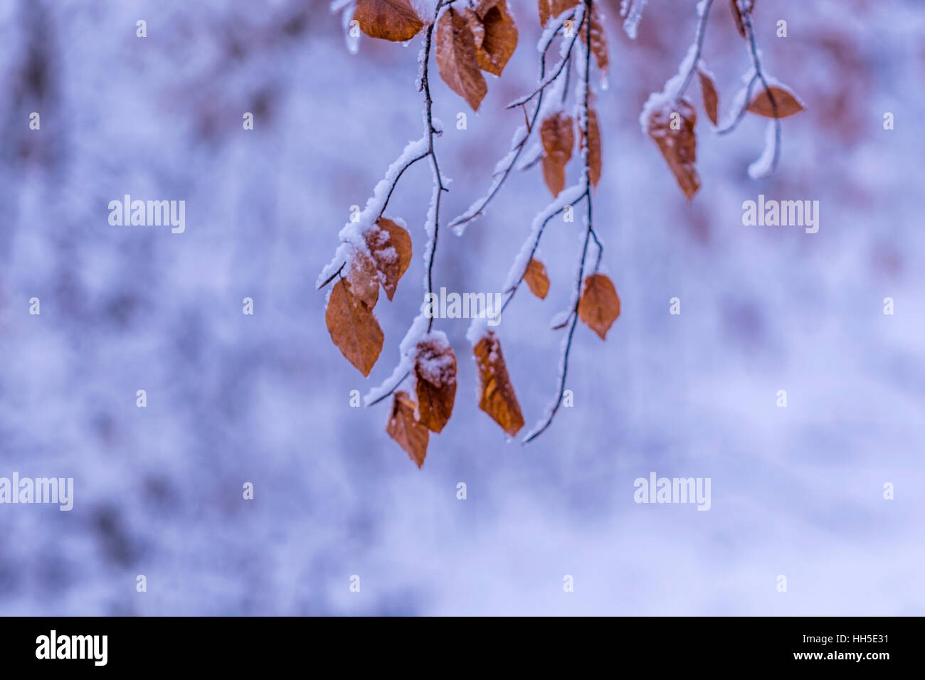 Hiking path details hi-res stock photography and images - Alamy
