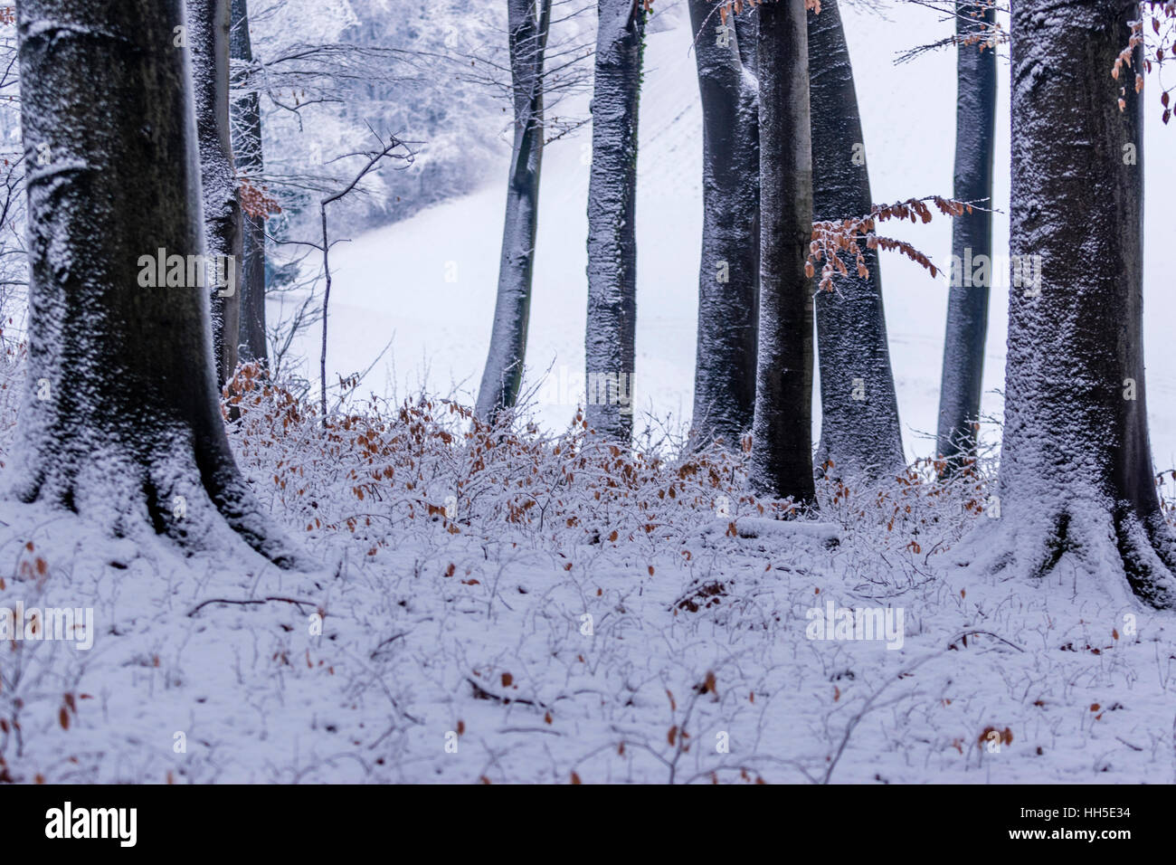 Hiking path details hi-res stock photography and images - Alamy