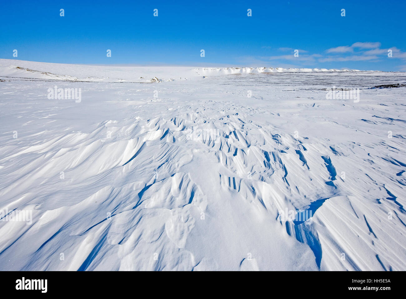 Wind blown snow drifts with Greenland ice cap in the background Stock ...