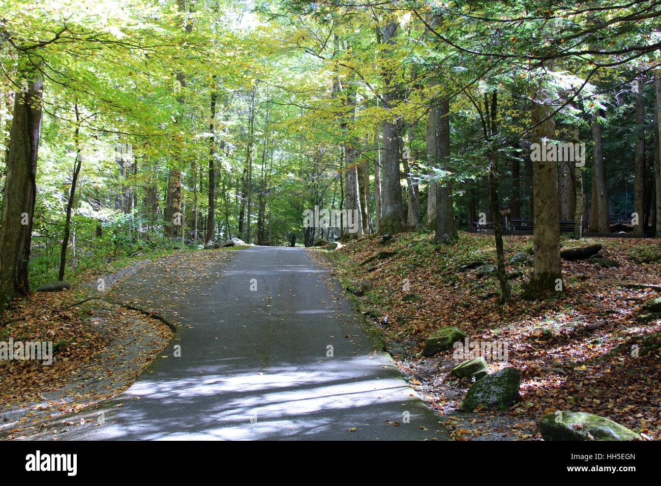 A picnic area hi-res stock photography and images - Alamy