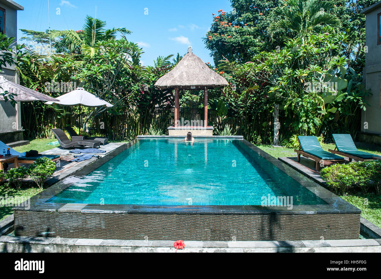 Ubud rice fields woman hi-res stock photography and images - Alamy