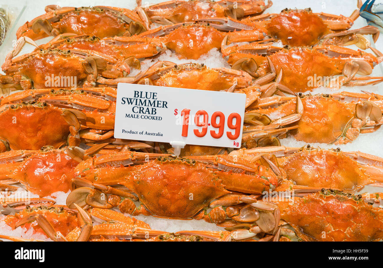 Swimmer crab hi-res stock photography and images - Alamy