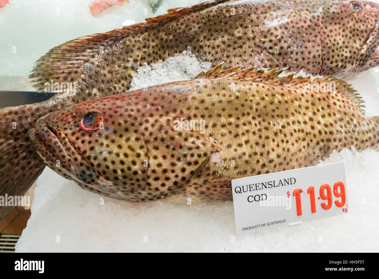 Fish cod market hi-res stock photography and images - Alamy