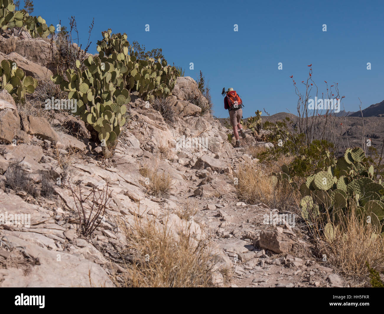 Hike big bend hi-res stock photography and images - Alamy