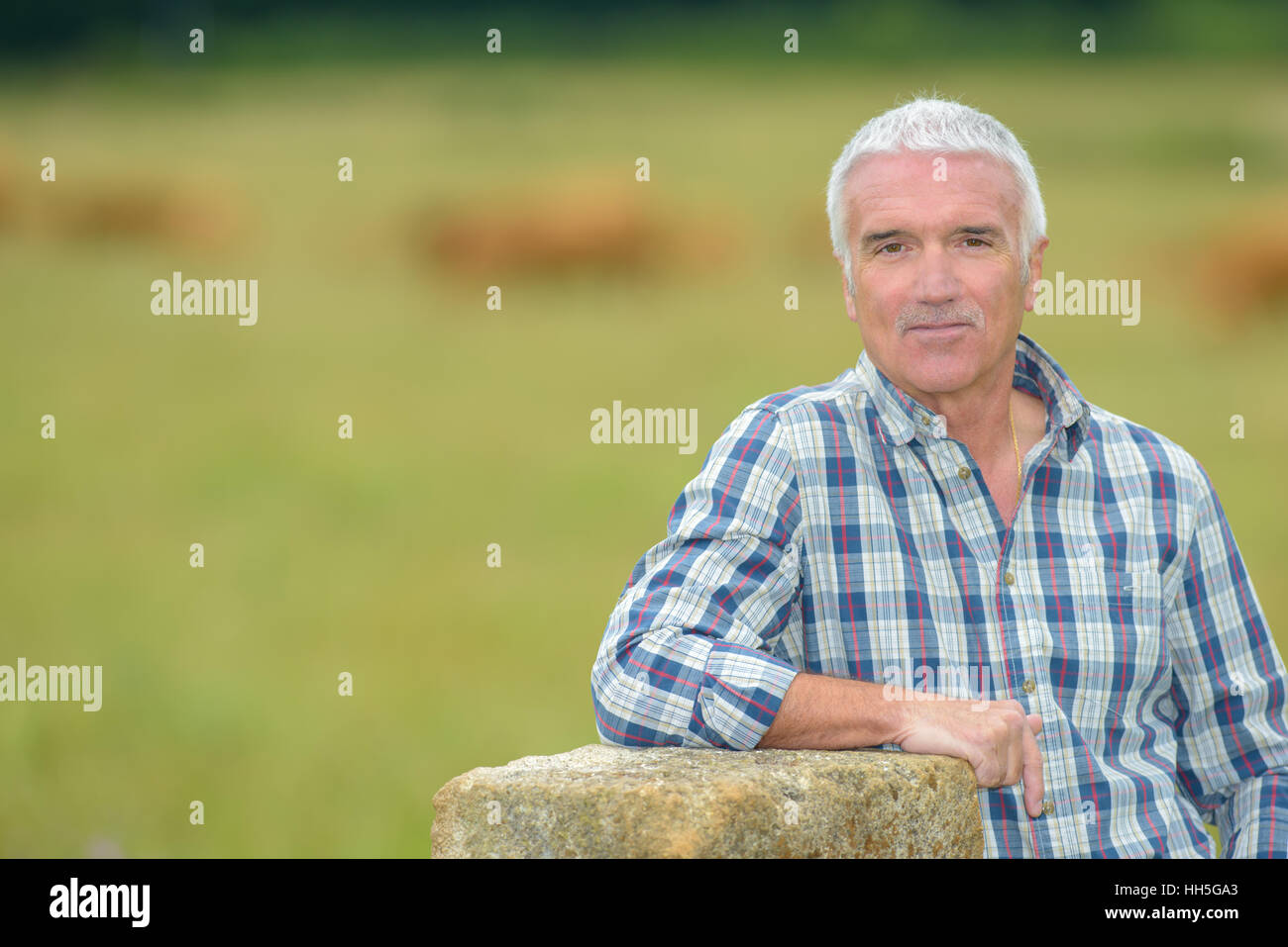 Portrait of senior man leaning on bale of hay Stock Photo - Alamy