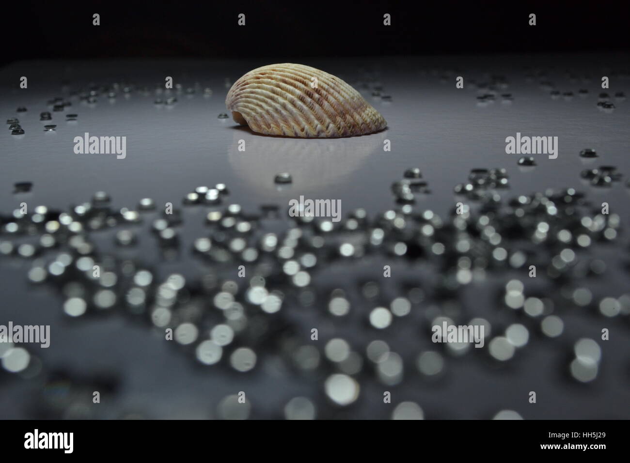 Seashell reflection with crystal bokeh Stock Photo - Alamy