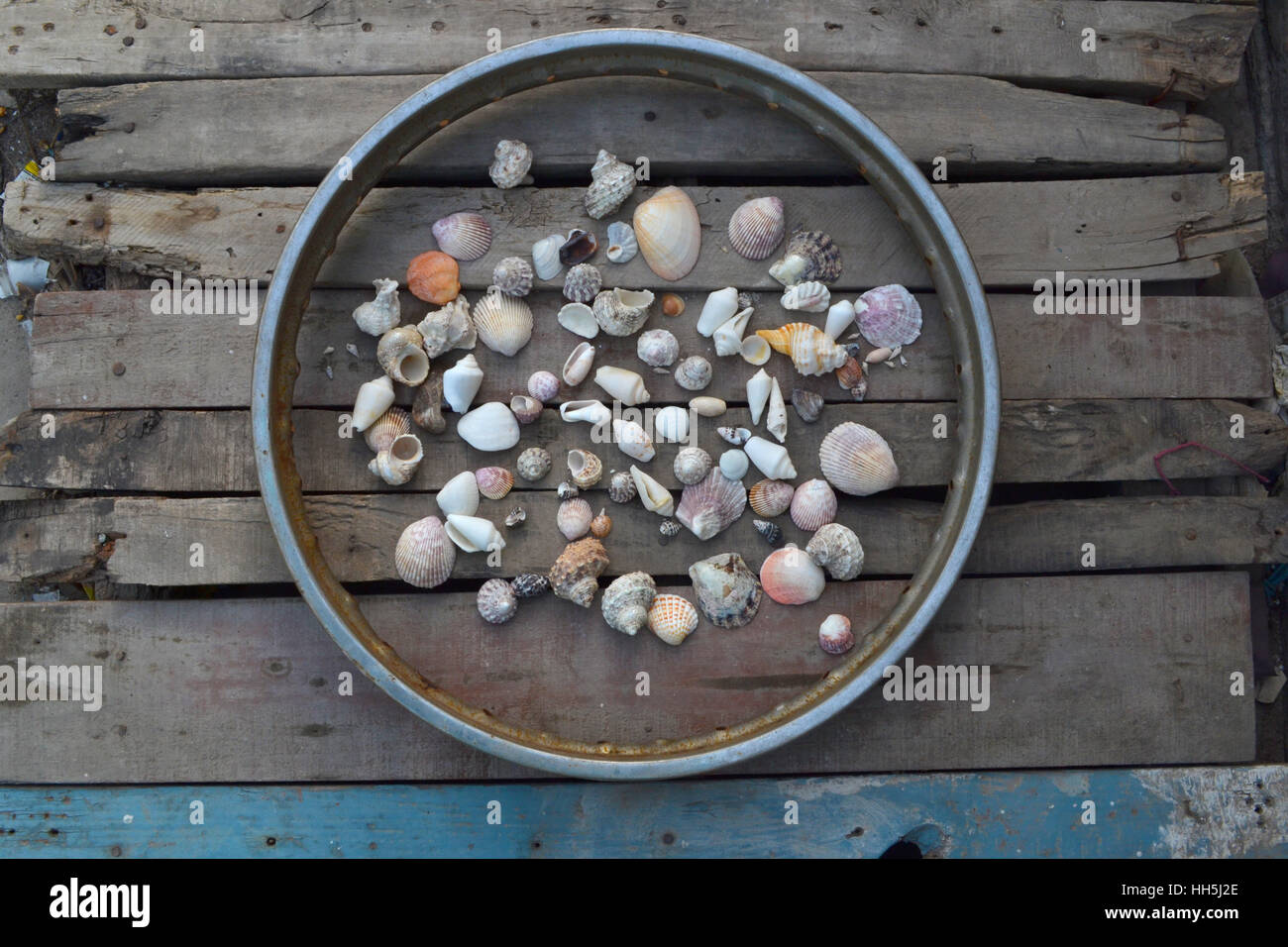 Seashells in Wheel on Wood Planks Stock Photo - Alamy
