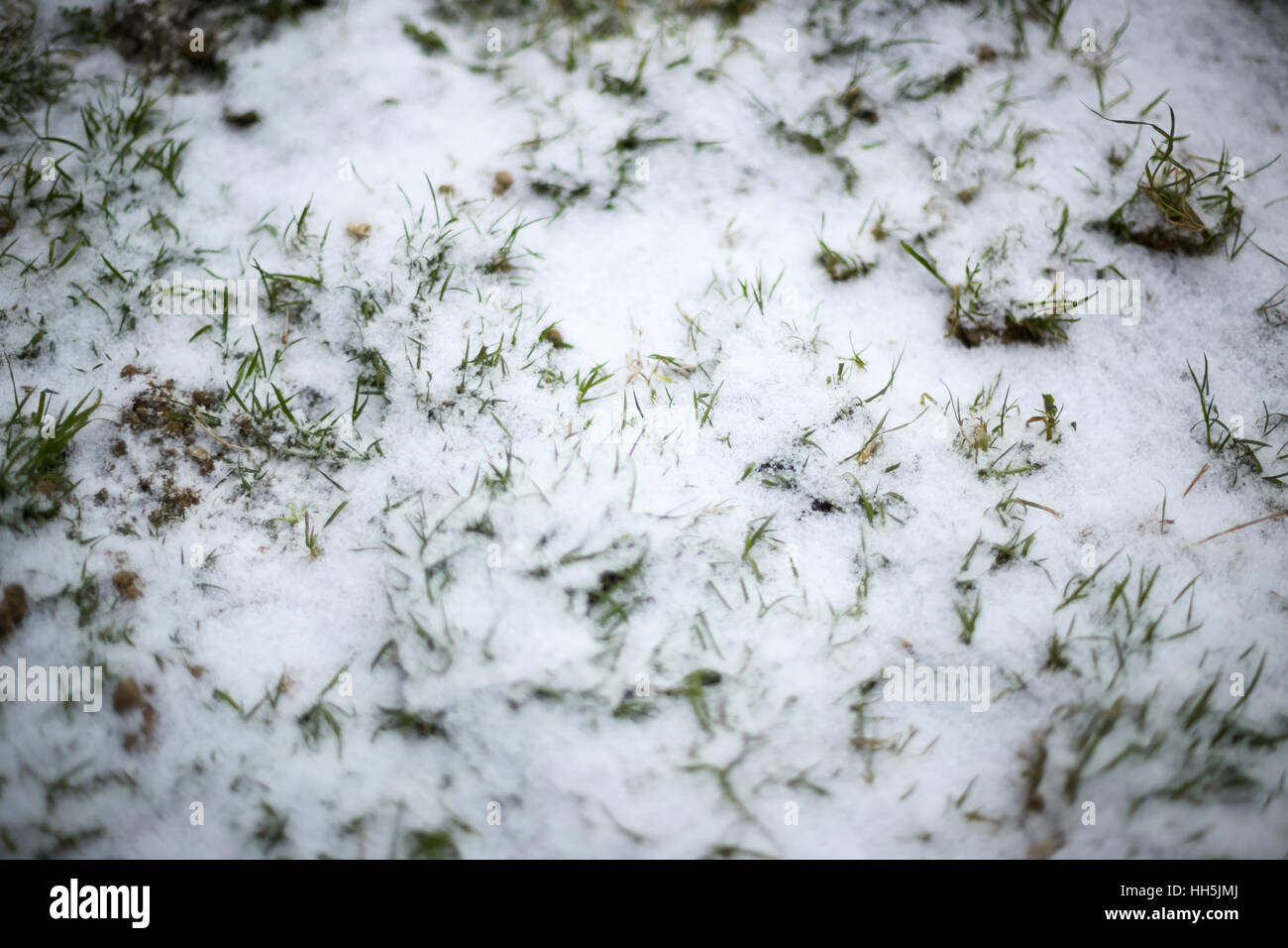A view of grass covered with snow Stock Photo - Alamy