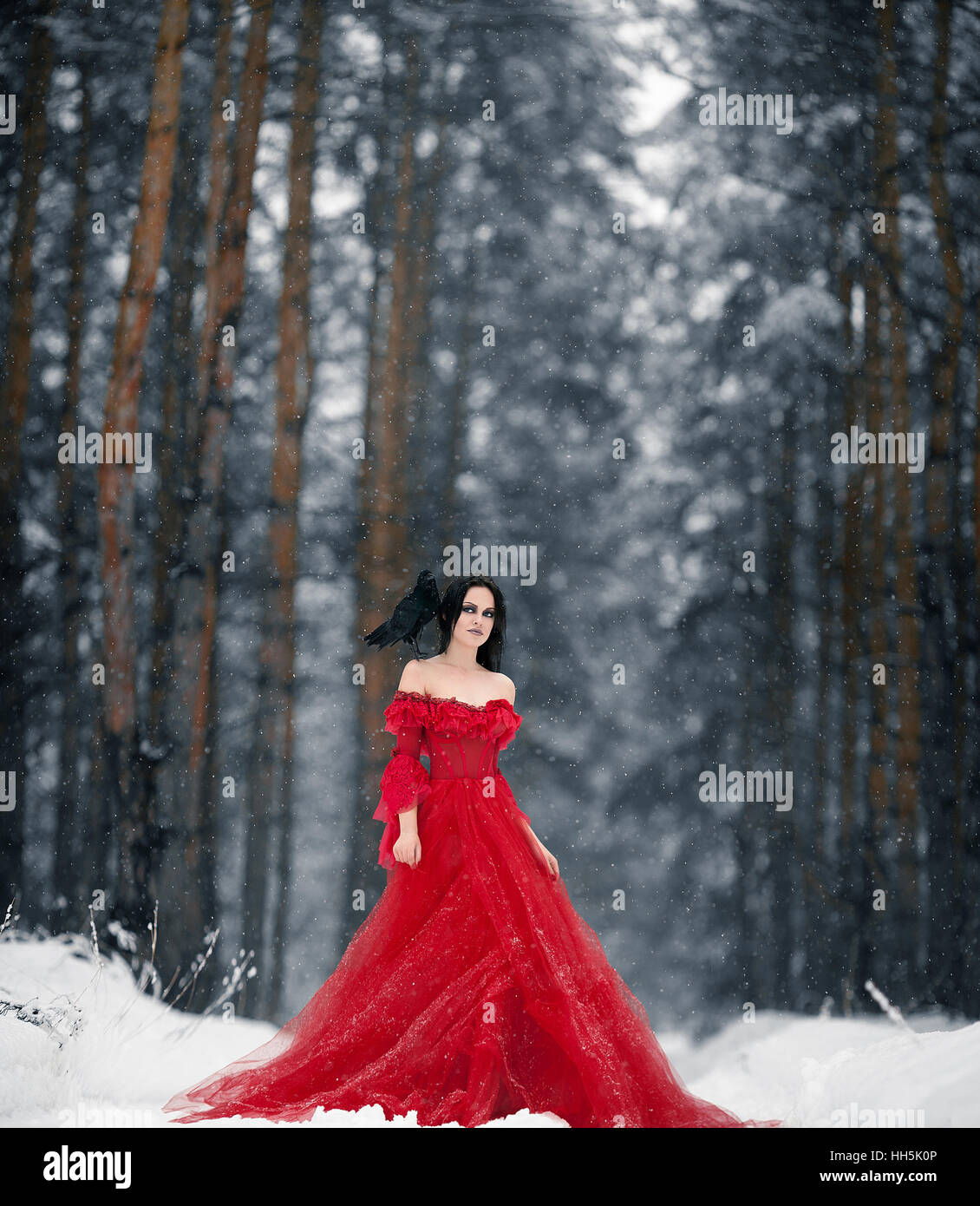 Girl Snow Photography Gown