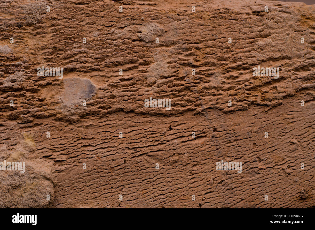 Single Brick Texture