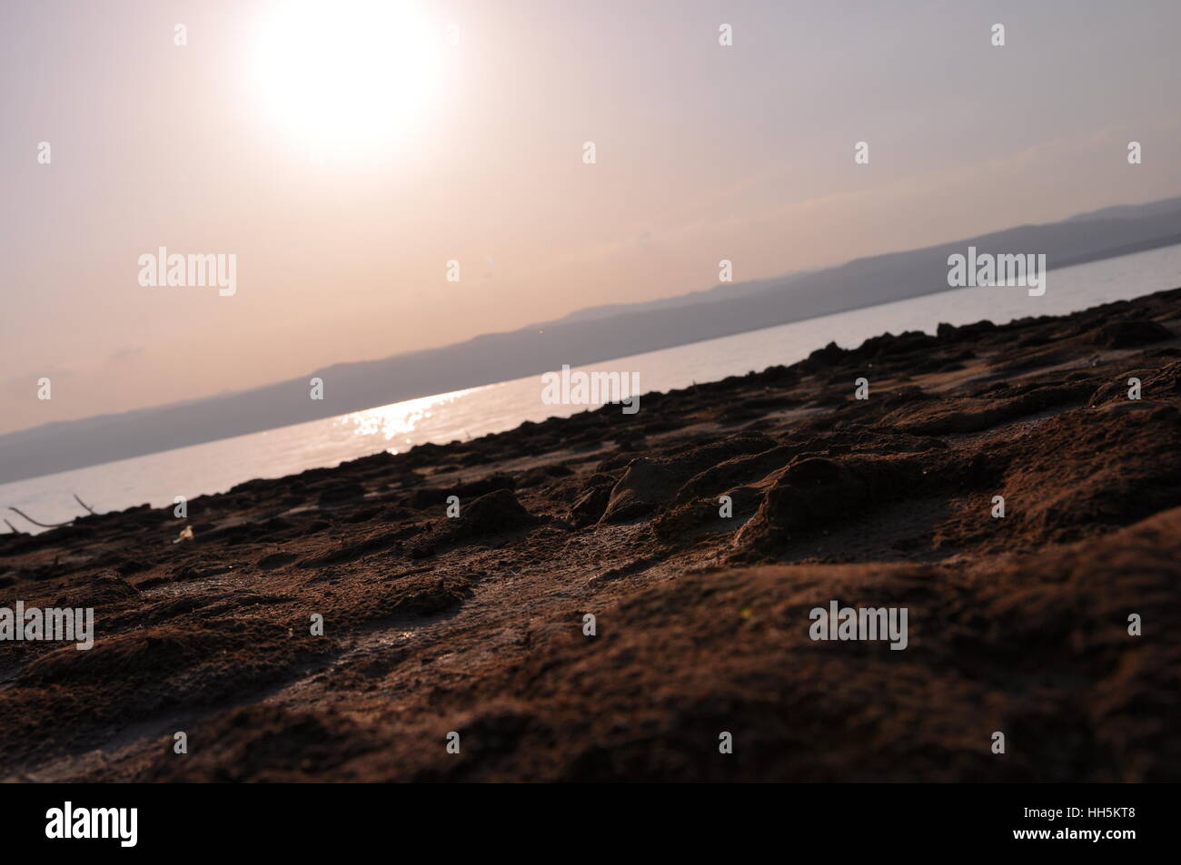 Dead Sea mud shore Stock Photo - Alamy