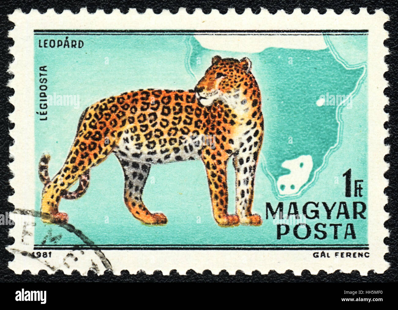 A postage stamp printed in Hungary shows a Leopard, Africa series ...
