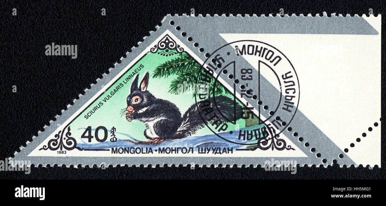 A postage stamp printed in Mongolia shows a Sciurus vulgaris linnaeus ...