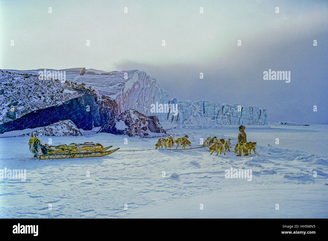 Hunter and dog sledge Northern Greenland next to a glacier Stock Photo ...