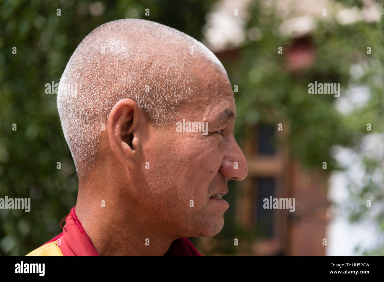 Side portrait of an old Tibetan Buddhist monk Stock Photo - Alamy
