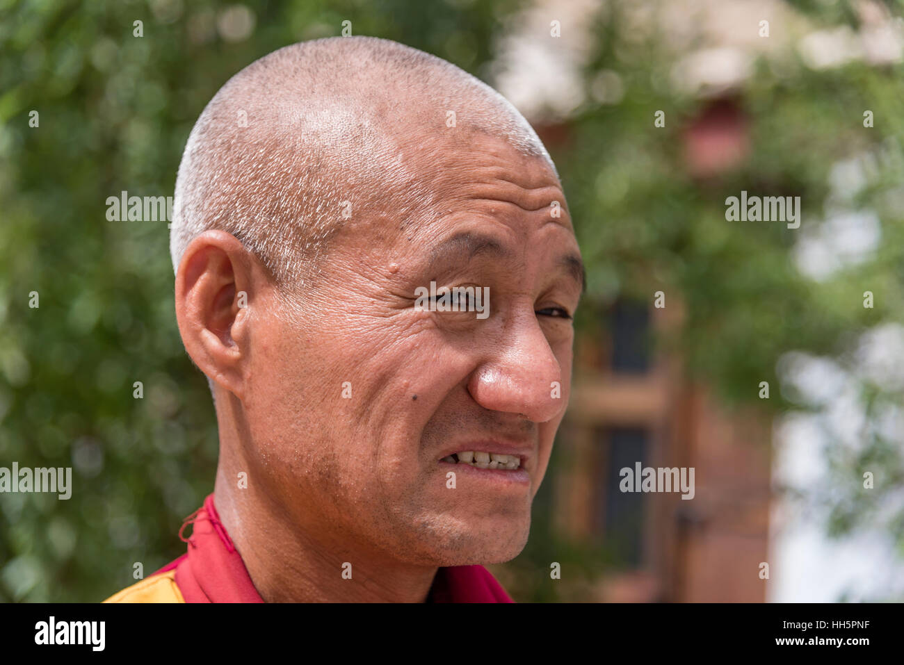 Side portrait of an old Tibetan Buddhist monk Stock Photo - Alamy