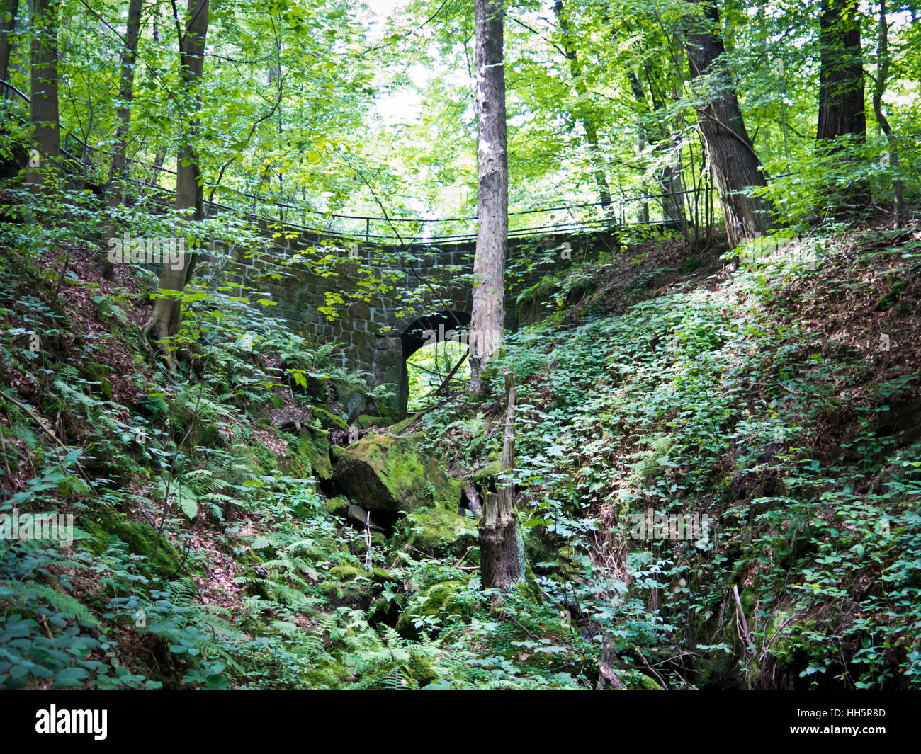 Sächsische schweiz malerweg hi-res stock photography and images - Alamy