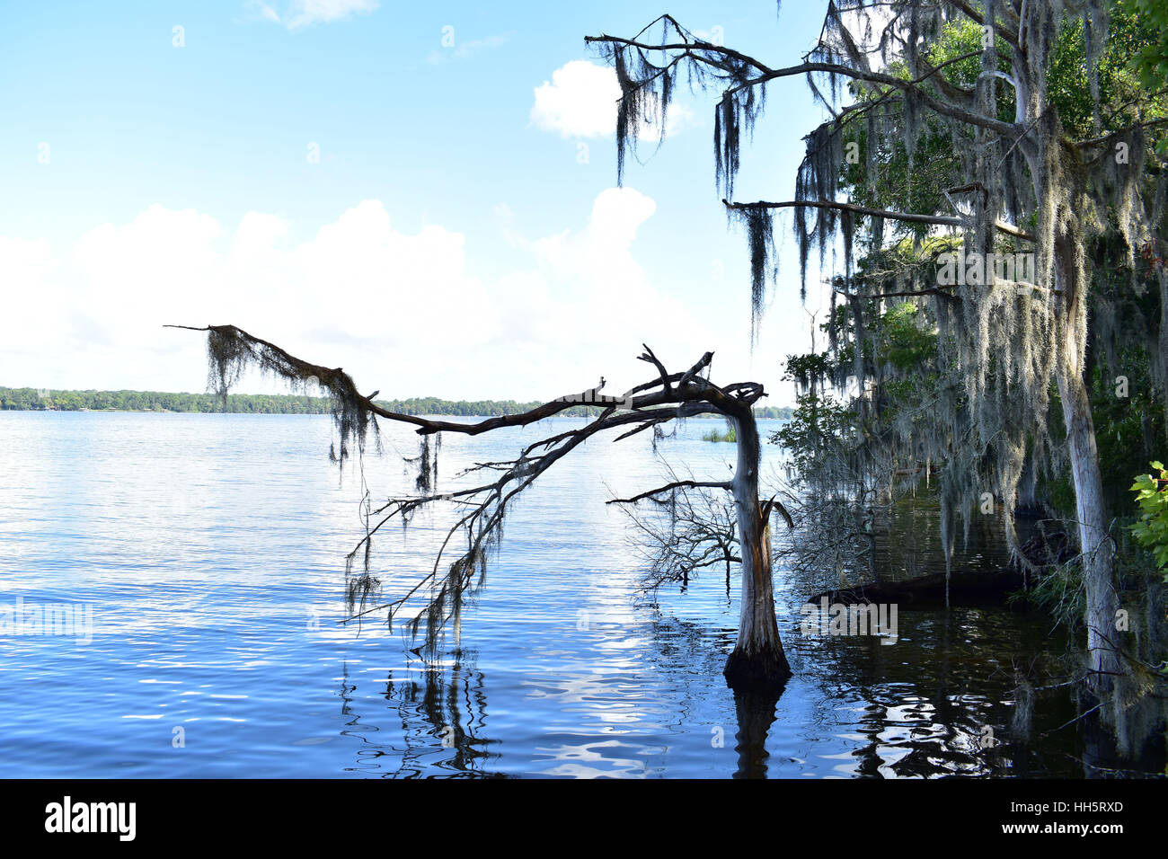 Pace island florida hi-res stock photography and images - Alamy