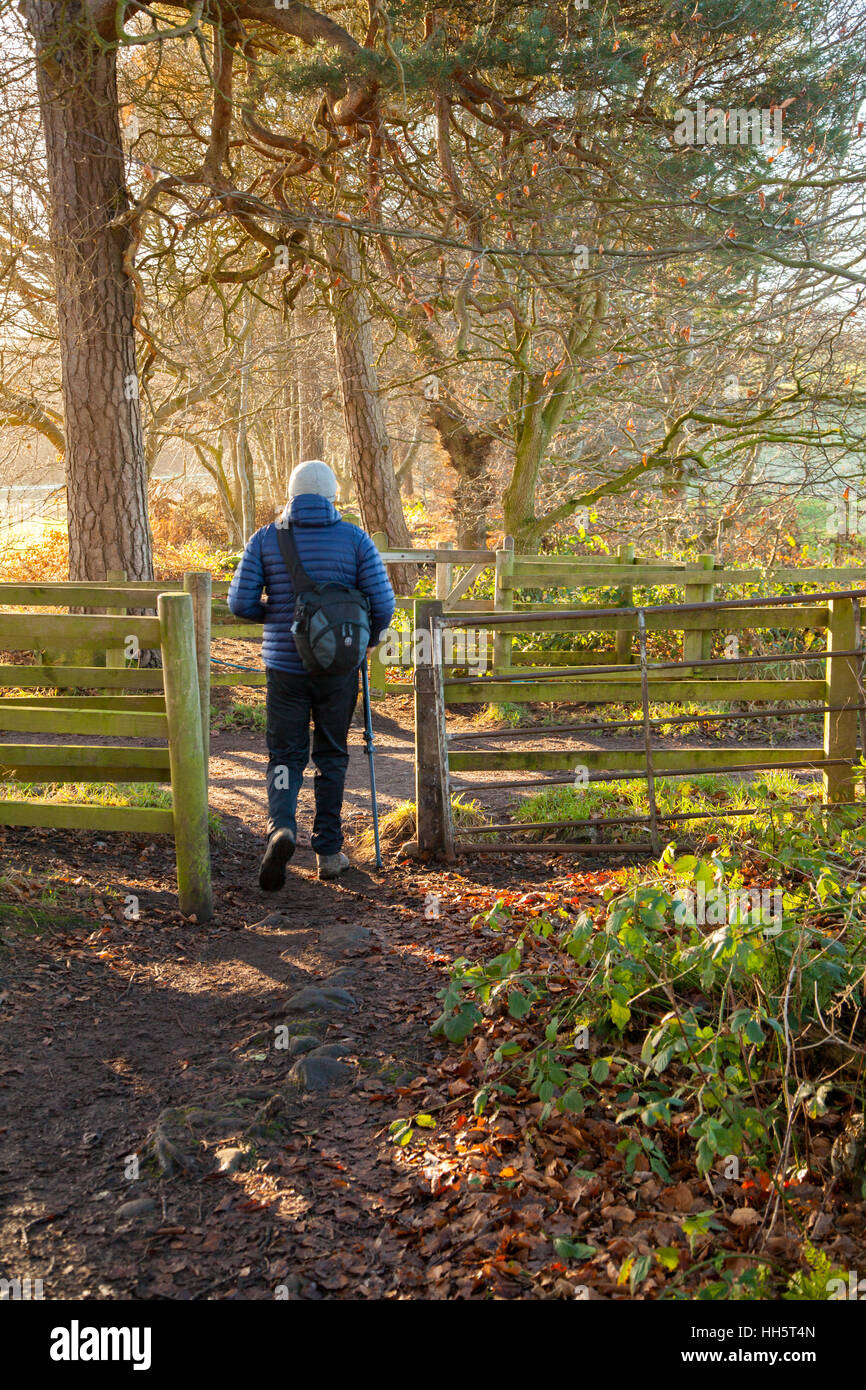 Man walking on the Sandstone Trail long distance footpath through ...