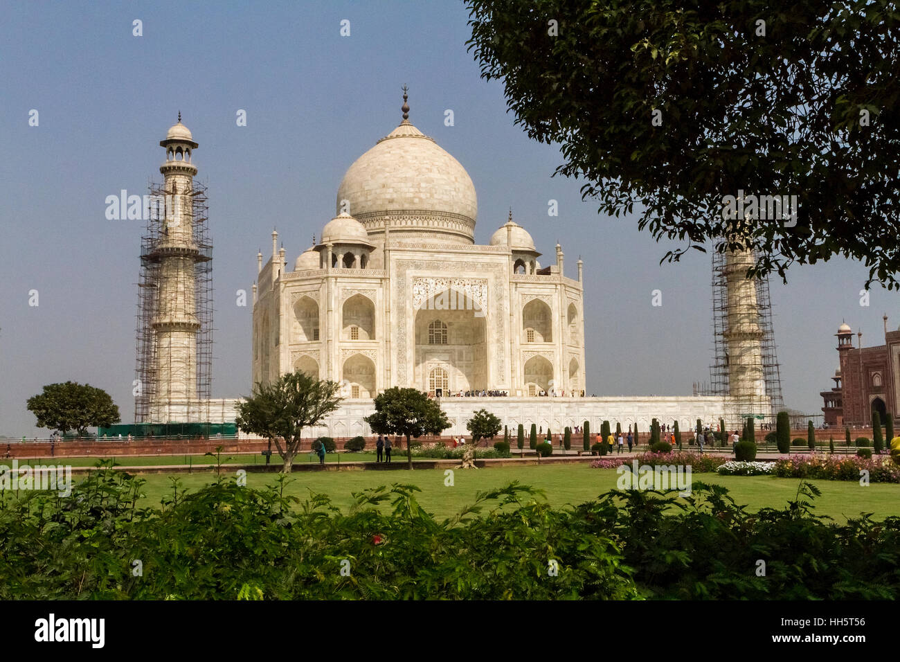 View of the Taj Mahal showing the minarets under repair with ...