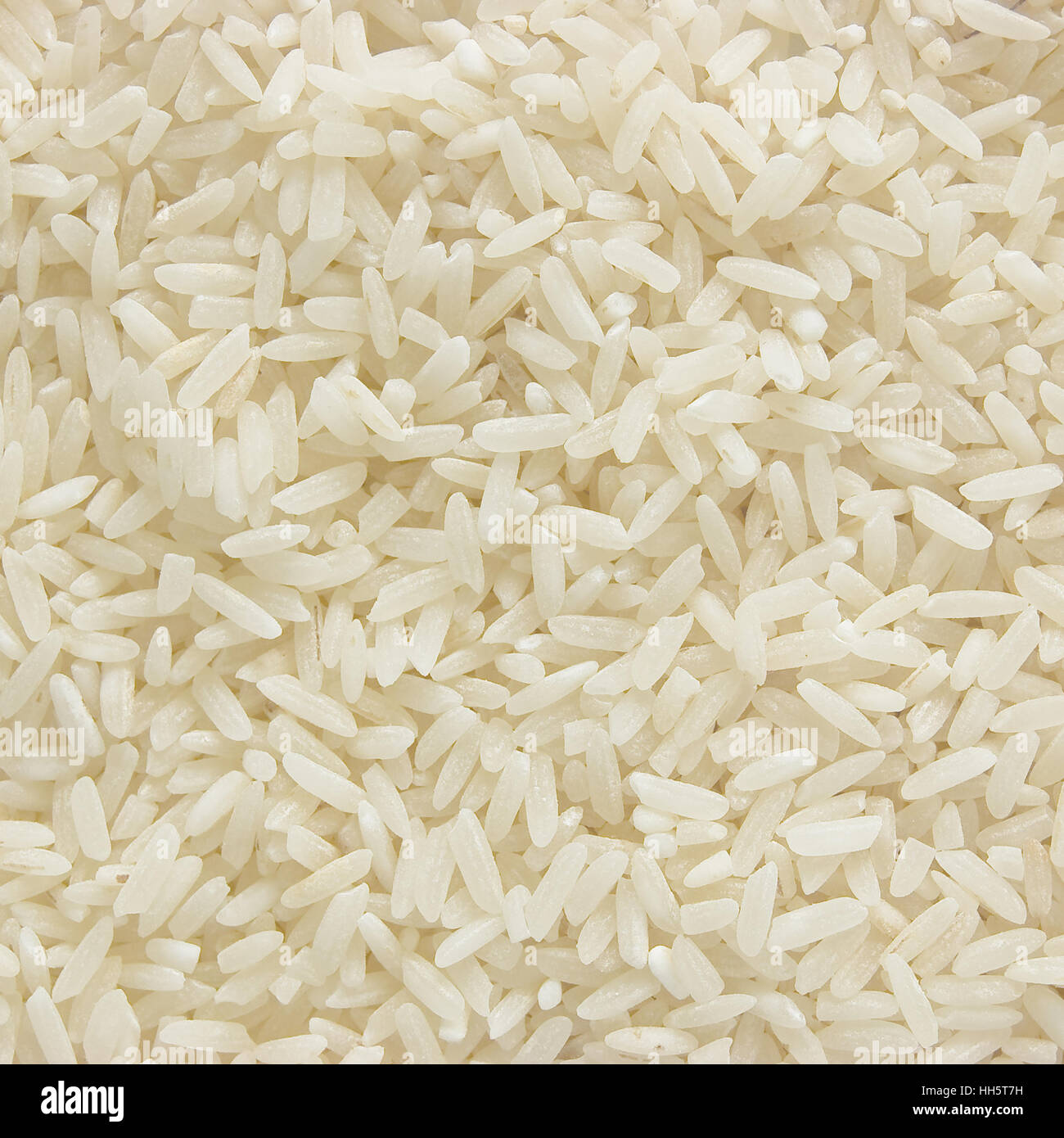 White long rice background, uncooked raw cereals, macro closeup, large ...
