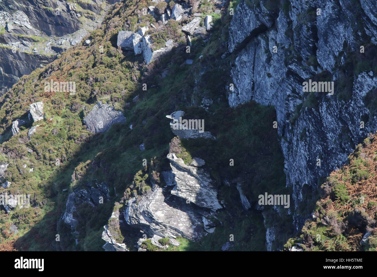 Rock shaped like a bird hi-res stock photography and images - Alamy