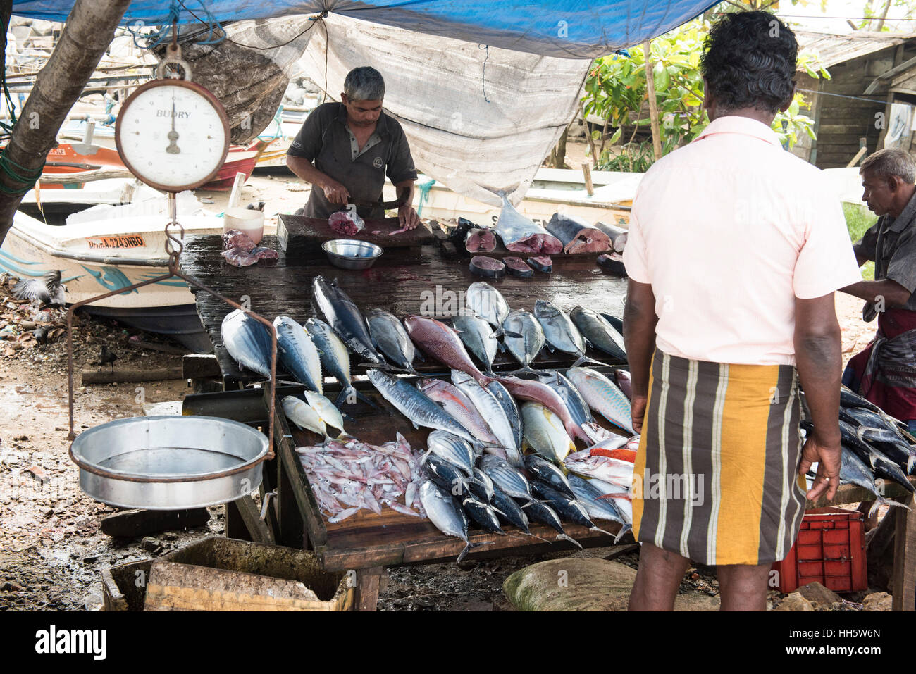 Fish market, Galle, Sri Lanka Stock Photo - Alamy