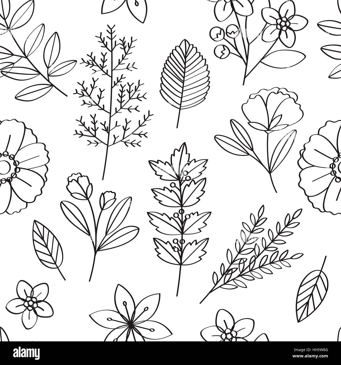 Vector illustration of floral design hi-res stock photography and ...