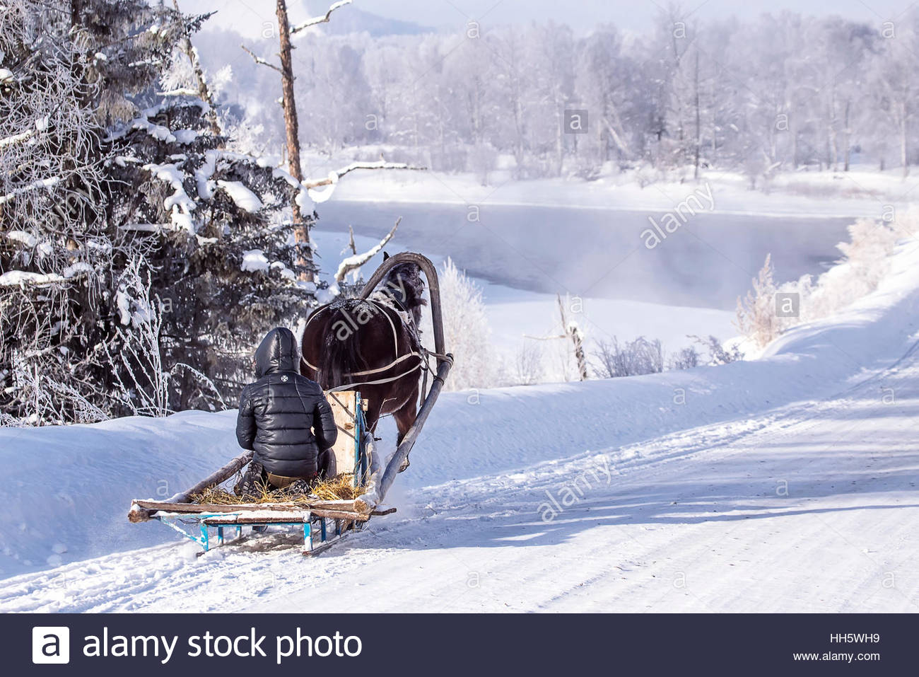 Horse Drawn Sled Stock Photos & Horse Drawn Sled Stock Images - Alamy
