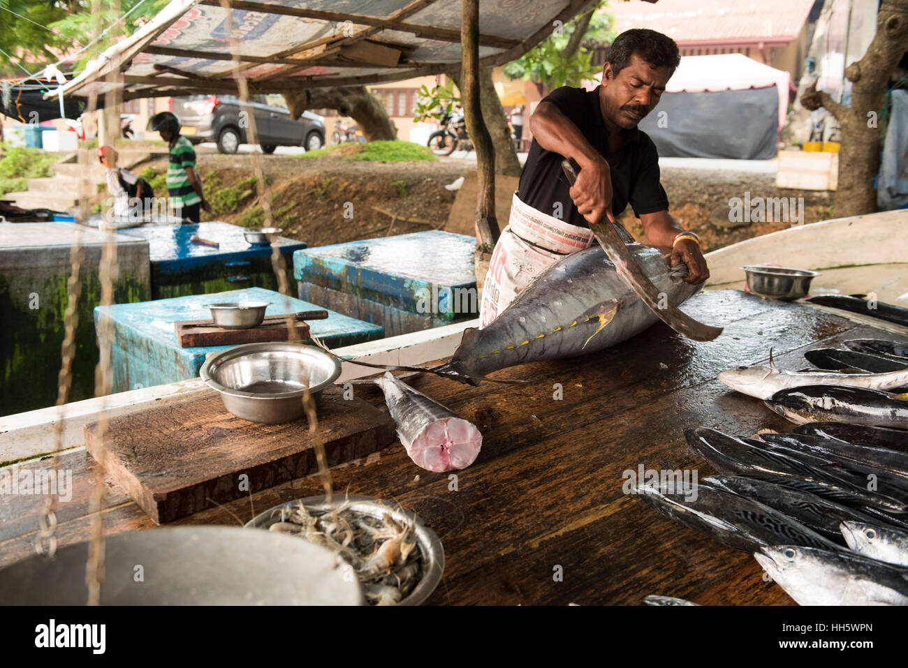 Fish market, Galle, Sri Lanka Stock Photo - Alamy